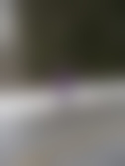 JavaScript is required to view this gallery